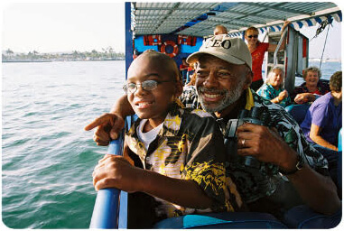 San Diego Seals | San Diego Harbor Tours by Land & Sea